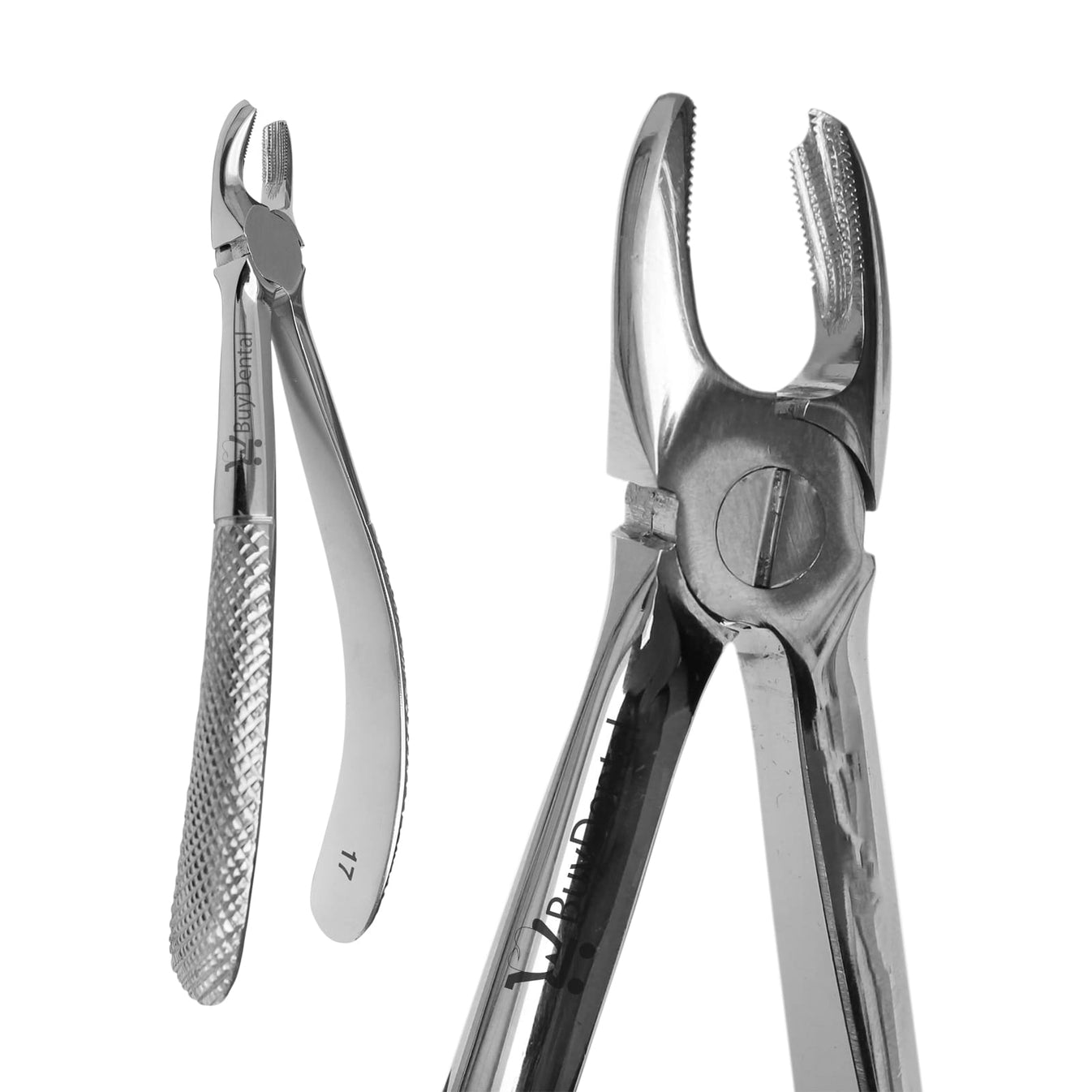 Upper Right Molar Extraction Forcep – Buydental UAE